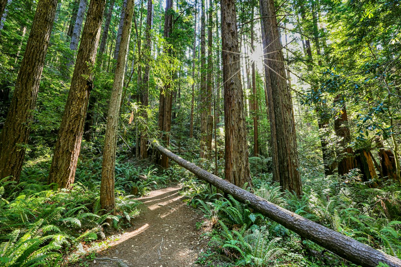 Hidden Gems of California for Nature Lovers - Nyfco